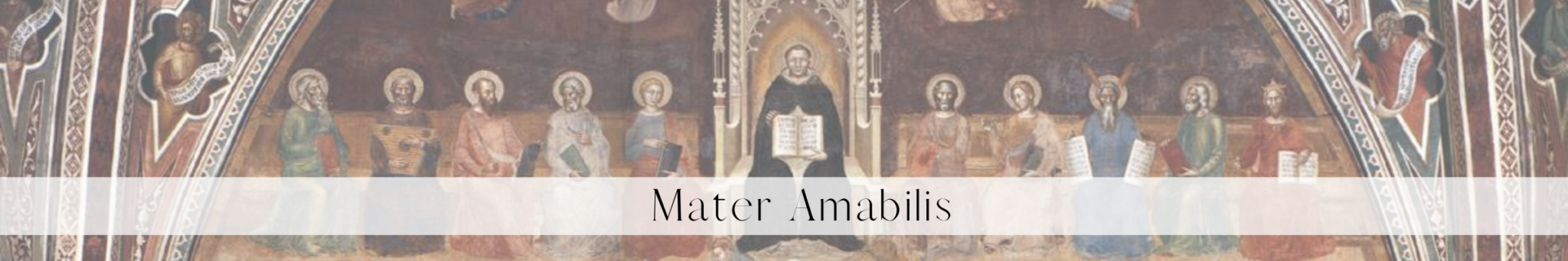 Overview of the Curriculum